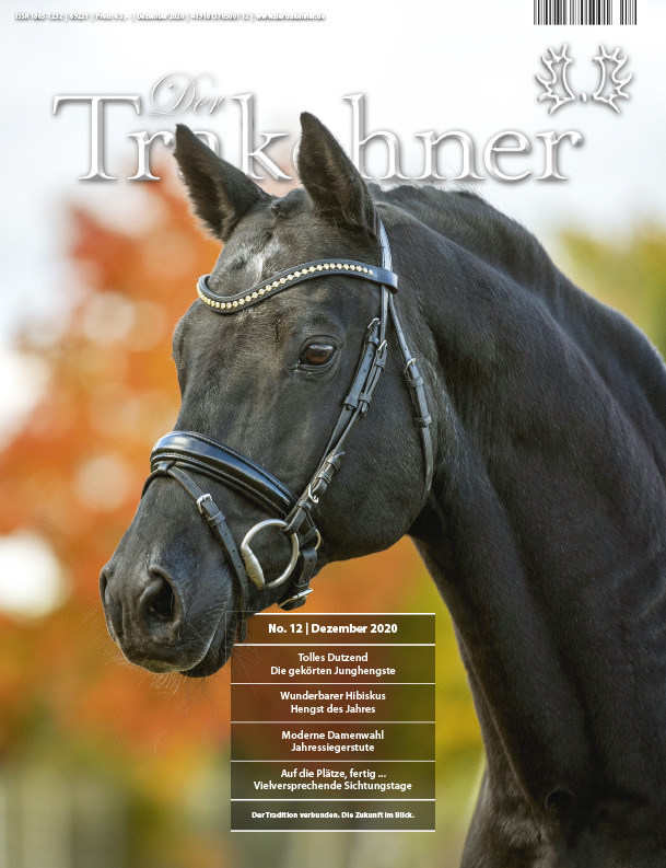 Trakehner älteste Reitpferderasse Deutschlands › Trakehner Association