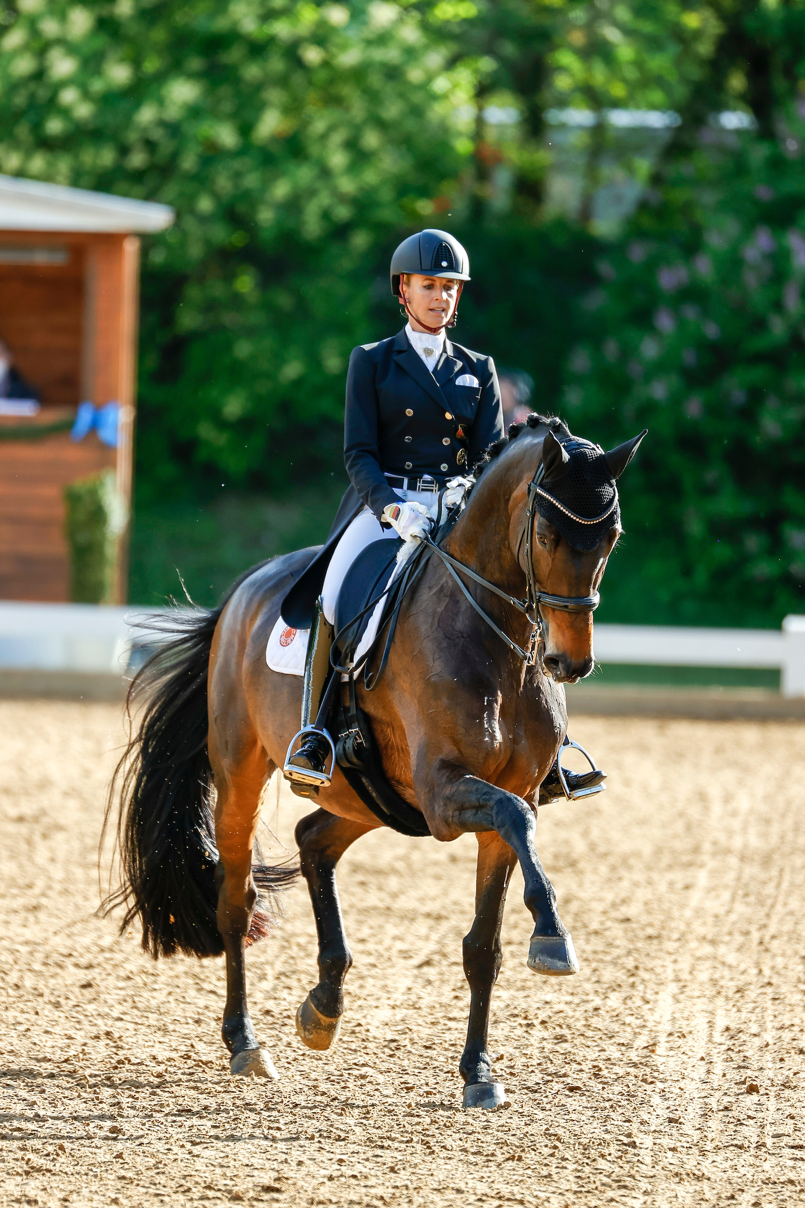 Pferd International: Jessica von Bredow-Werndl und TSF Dalera BB siegen ...
