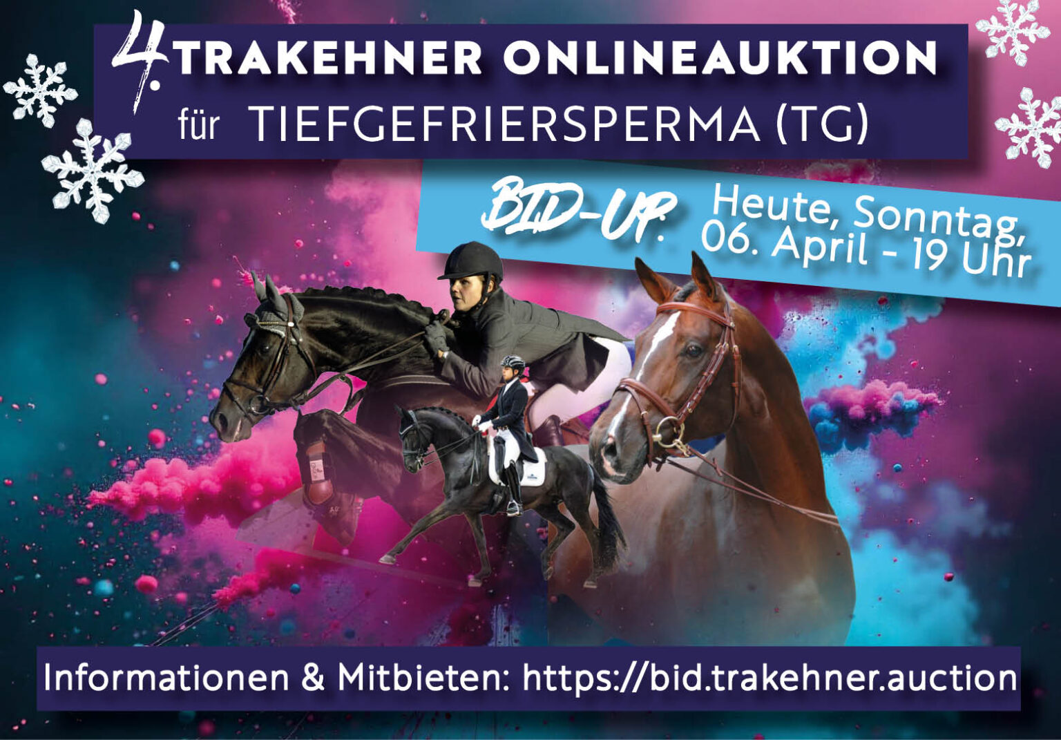 4. Trakehner Onlineauktion für Tiefgefriersperma (TG) - Trakehner Verband